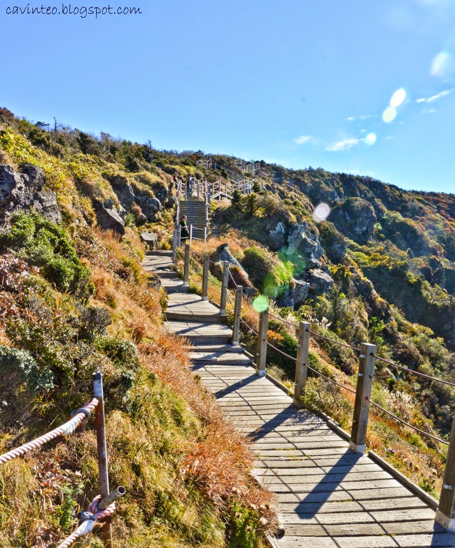 Entree Kibbles: Yeongsil Trail Up Mount Halla (Hallasan) Part 1 @ Jeju ...